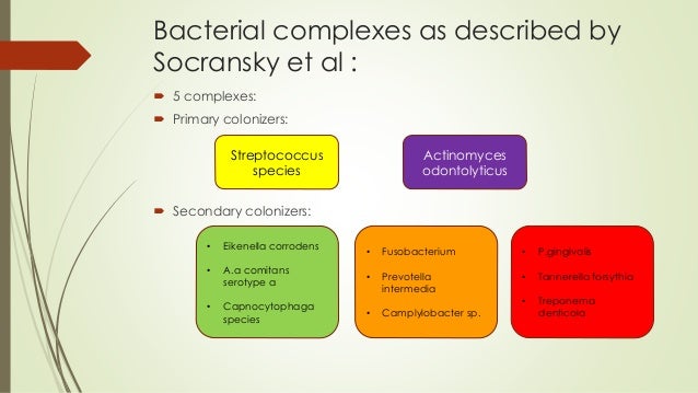 Key characteristics of specific periopathogens