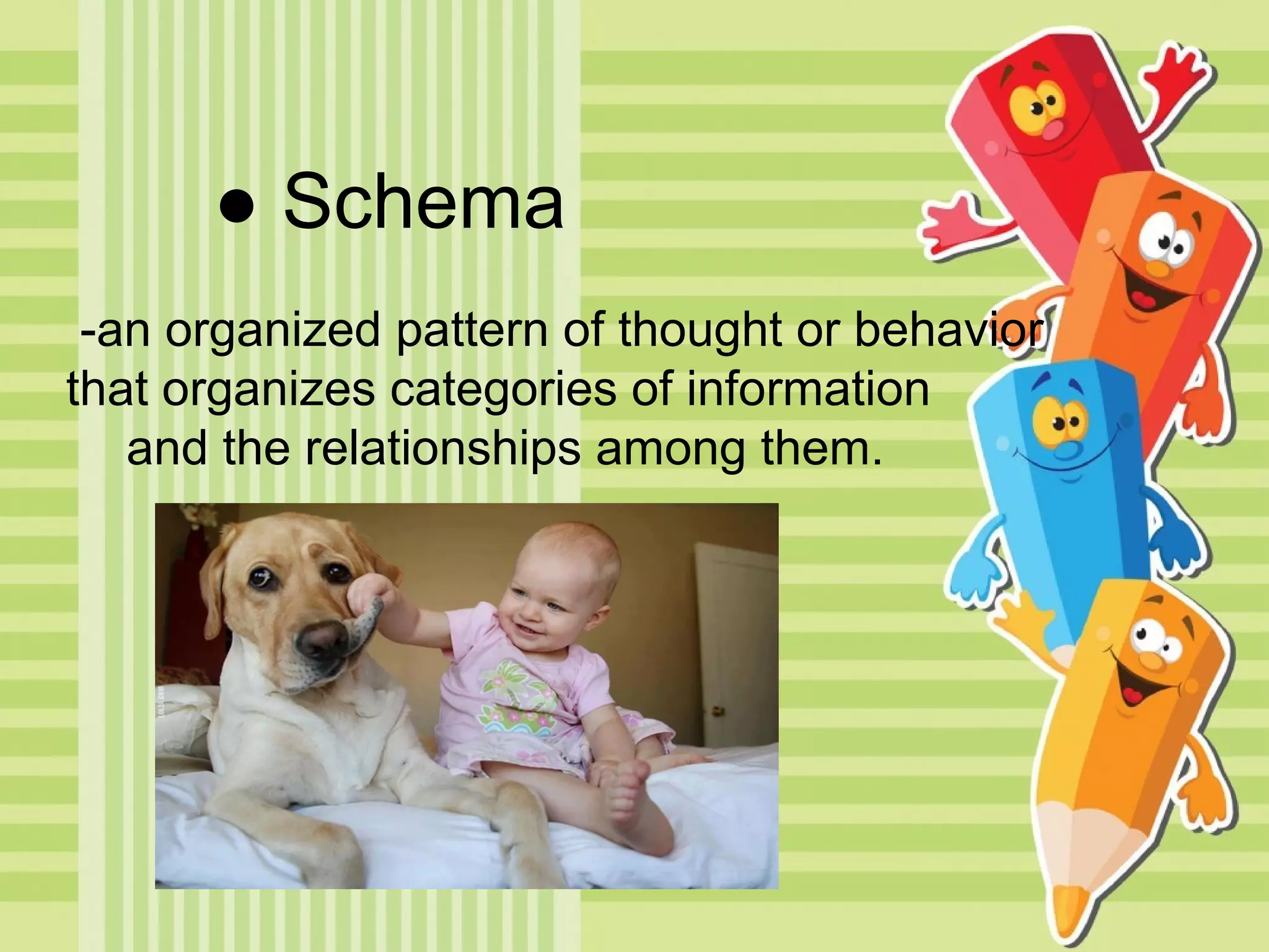 Key concepts of Piaget's Cognitive Development Theory | PPT