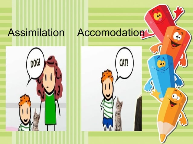 Key concepts of Piaget's Cognitive Development Theory | PPT | Science