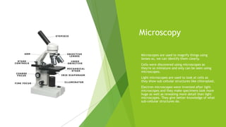 Key concepts in biology | PPTX