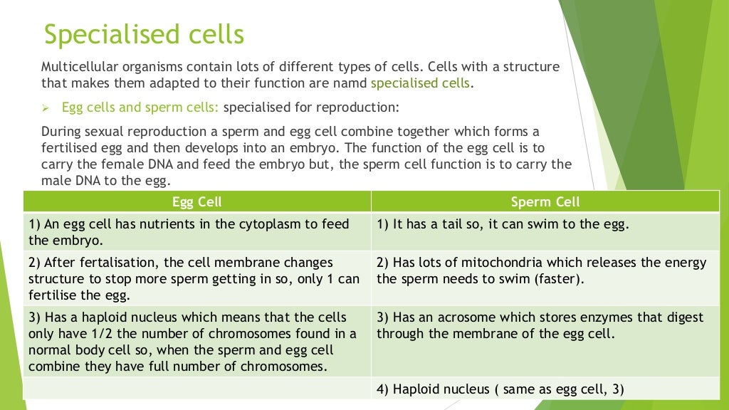 Key concepts in biology
