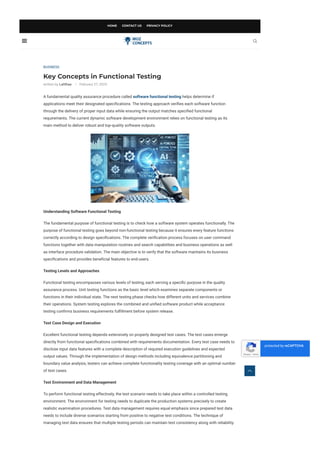 Key Concepts in Functional TestingFunctional Testing .pdf