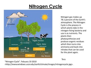 Key Concepts Unit 1[1] | PPT
