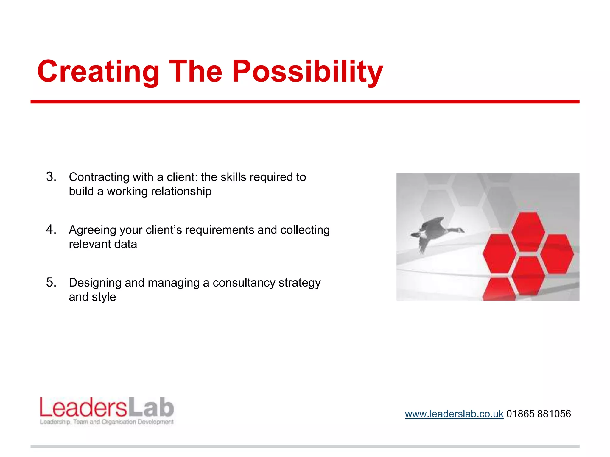 Key Consultancy Styles & Framework | PPT