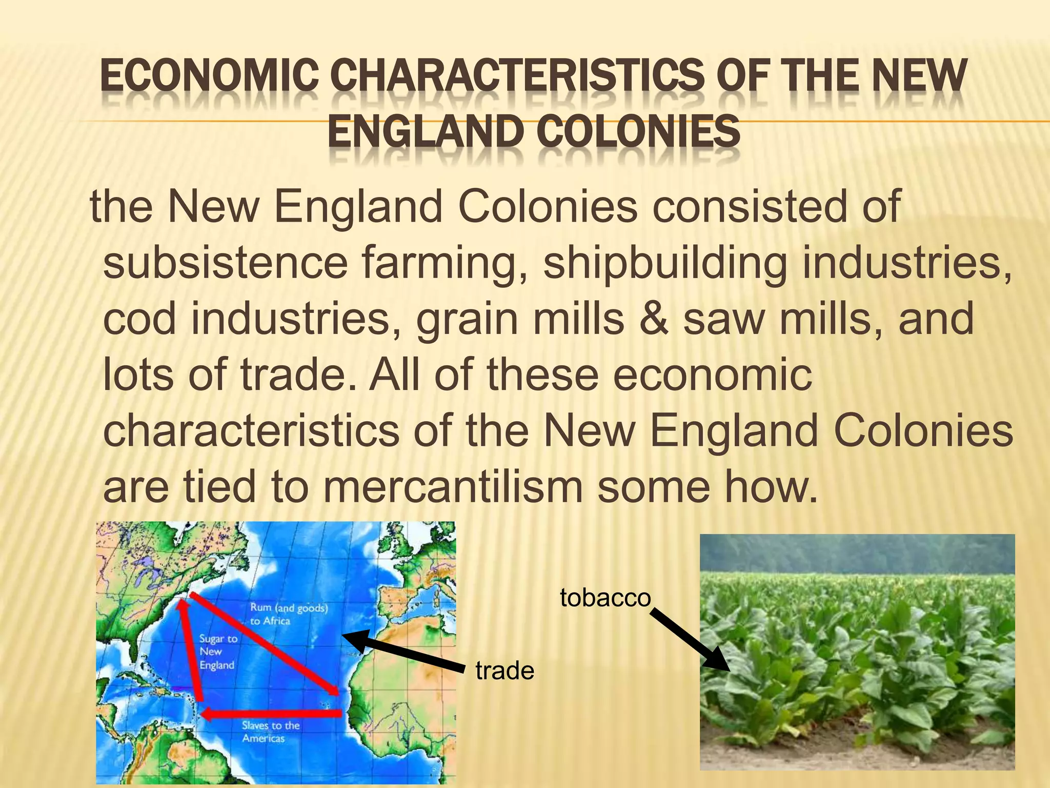 Key economic, political and social characteristics of the new england ...