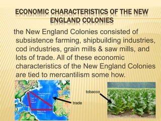 Key economic, political and social characteristics of the new england ...