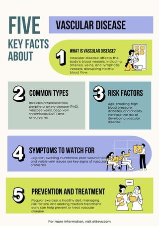 5 Key Facts About Vascular Disease( The Importance of Regular Screening ...