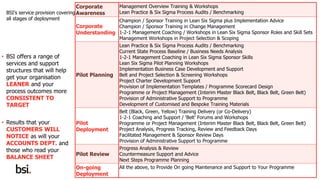 Key Facts Document - Successful Lean Six Sigma Deployments Supported By ...