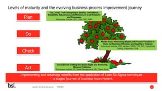 Key Facts Document - Successful Lean Six Sigma Deployments Supported By ...