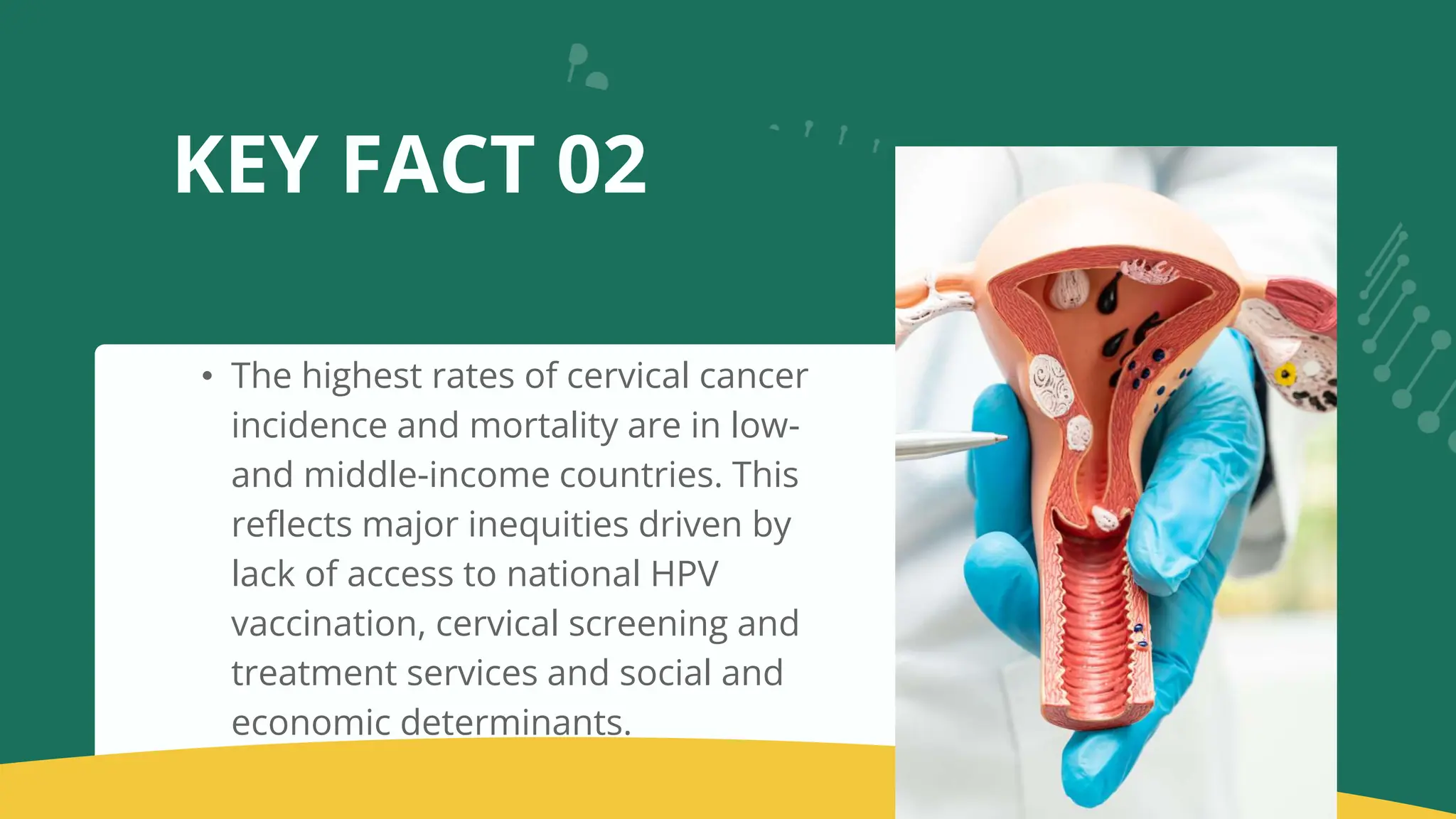 KEY FACTS OF CERVICAL CANCER.pptx BY DR SEEMA SINGH | PPTX
