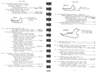 Key guide to mammal skulls &lower jaws by ARYAN.I | PDF