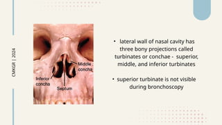 BRONCHOSCOPIC ANATOMY for anesthesia.ppt