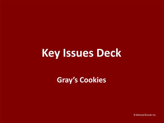 Ideal Key Issues presentation | PPT