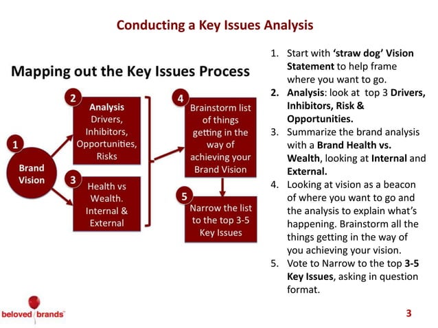 Ideal Key Issues presentation | PPT