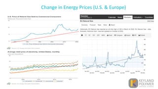 Keyland Polymer UV Cured Powder Overview | PPTX