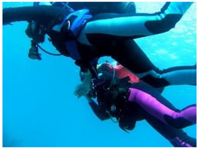 Key Largo Day One Diving | PPT