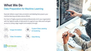 KeyMakr data annotation service | PDF | Information Services Industry ...