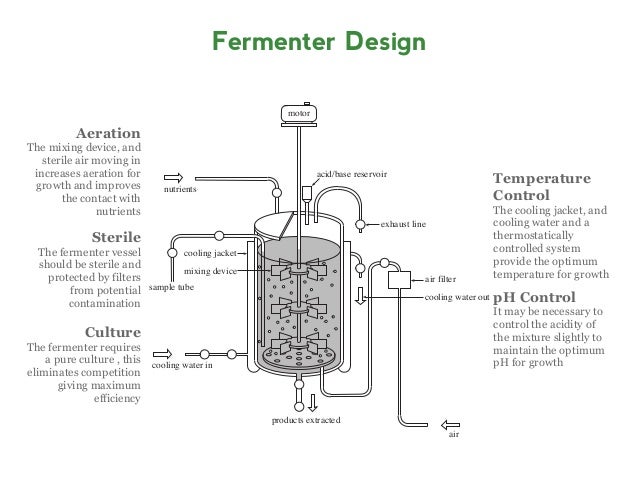 WJEC A2 Biology By4.4 Microbiology