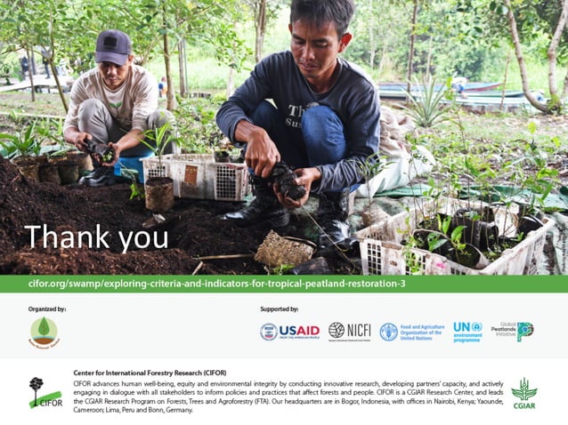 Rural Development and Local Governance: Key Factors to Promote Peatland ...