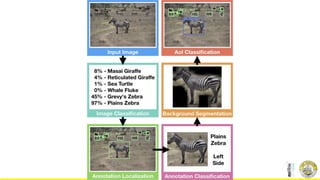 Keynote: Tanya Berger Wolf + Dan Rubenstein, Wildbook - AI and Humans ...