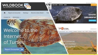 Keynote: Tanya Berger Wolf + Dan Rubenstein, Wildbook - AI and Humans Combatting Extinction | PPTX