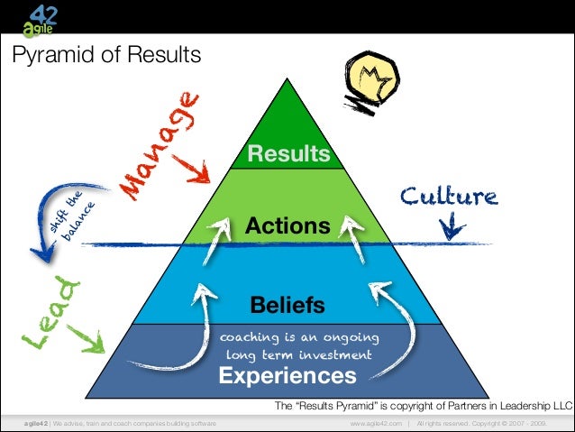 The Anatomy of an Agile Organization