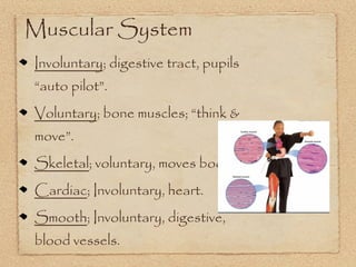 Keynote; ch. 13; bones & muscles.key