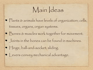 Keynote; ch. 13; bones & muscles.key