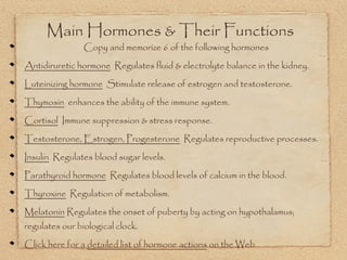 Keynote; ch. 16; endocrine system | ZIP