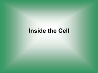Keynote; ch. 3; cell structure & function | PPT