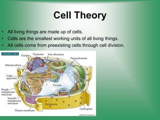 Keynote; ch. 3; cell structure & function | PPTX