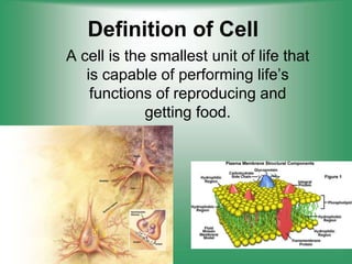 Keynote; ch. 3; cell structure & function | PPTX