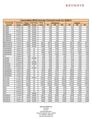 Keynote technicals commodity intraday levels for 300812 | PDF
