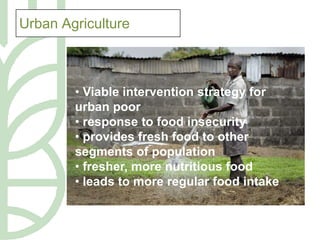 Keynote wg3 wg4_stelder_urban food security and nutrition | PPT
