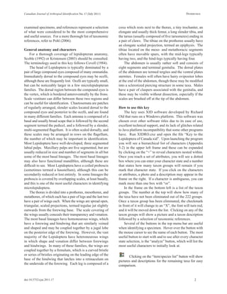 Key of lepidoptera | PDF