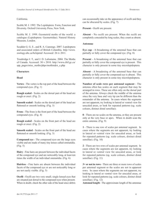 Key of lepidoptera | PDF
