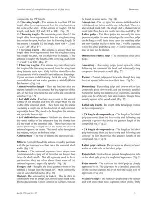 Key of lepidoptera | PDF