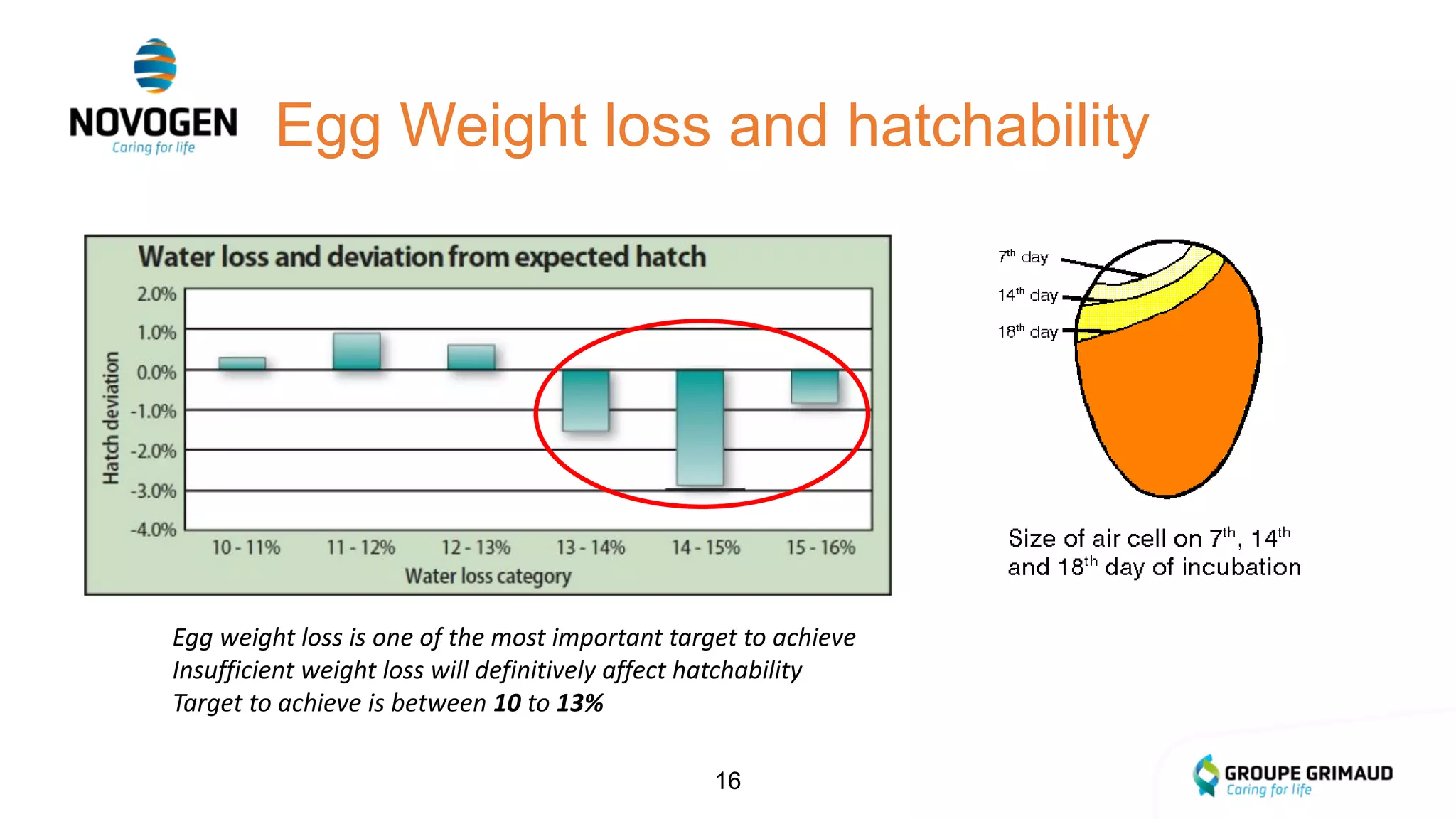 Key performance indicators in hatchery shemon lv | PDF