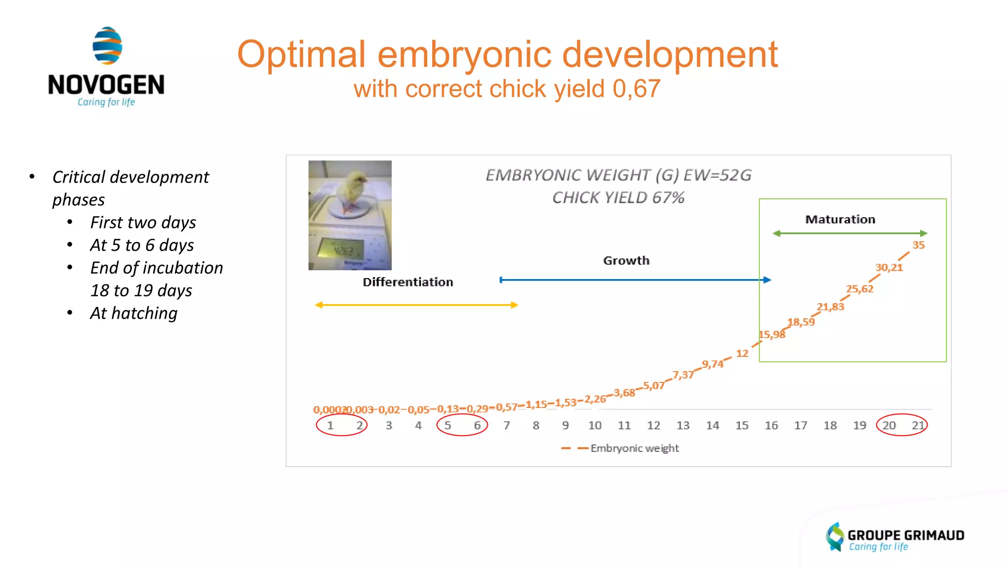 Key performance indicators in hatchery shemon lv | PDF