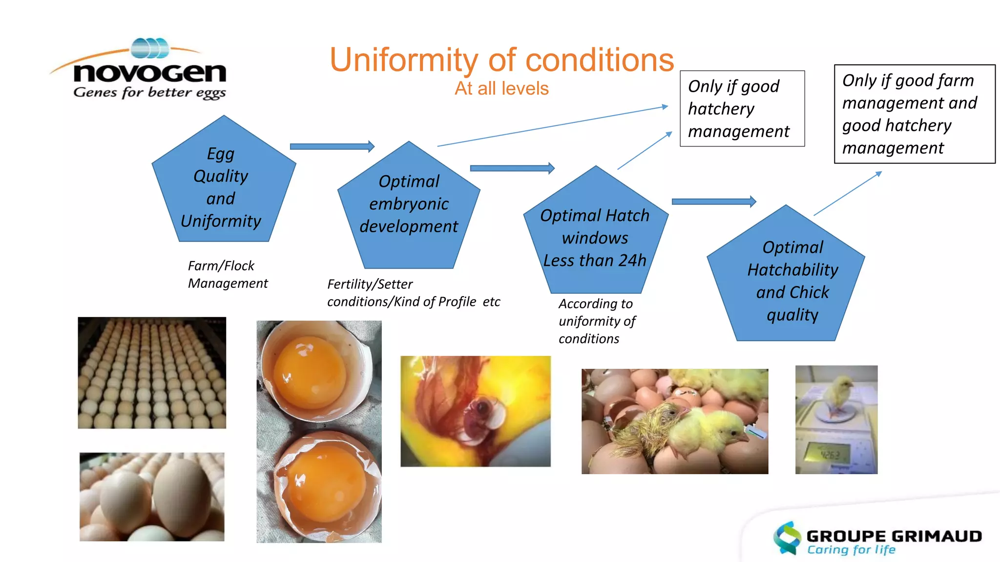 Key performance indicators in hatchery shemon lv | PDF