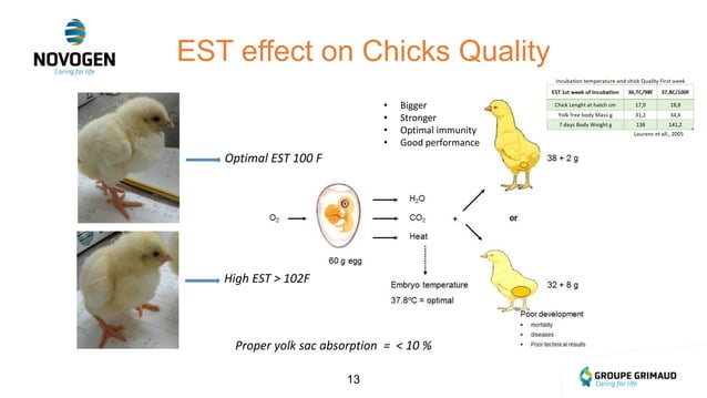 Key performance indicators in hatchery shemon lv | PDF