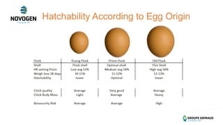 Key performance indicators in hatchery shemon lv | PDF