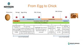 Key performance indicators in hatchery shemon lv | PDF