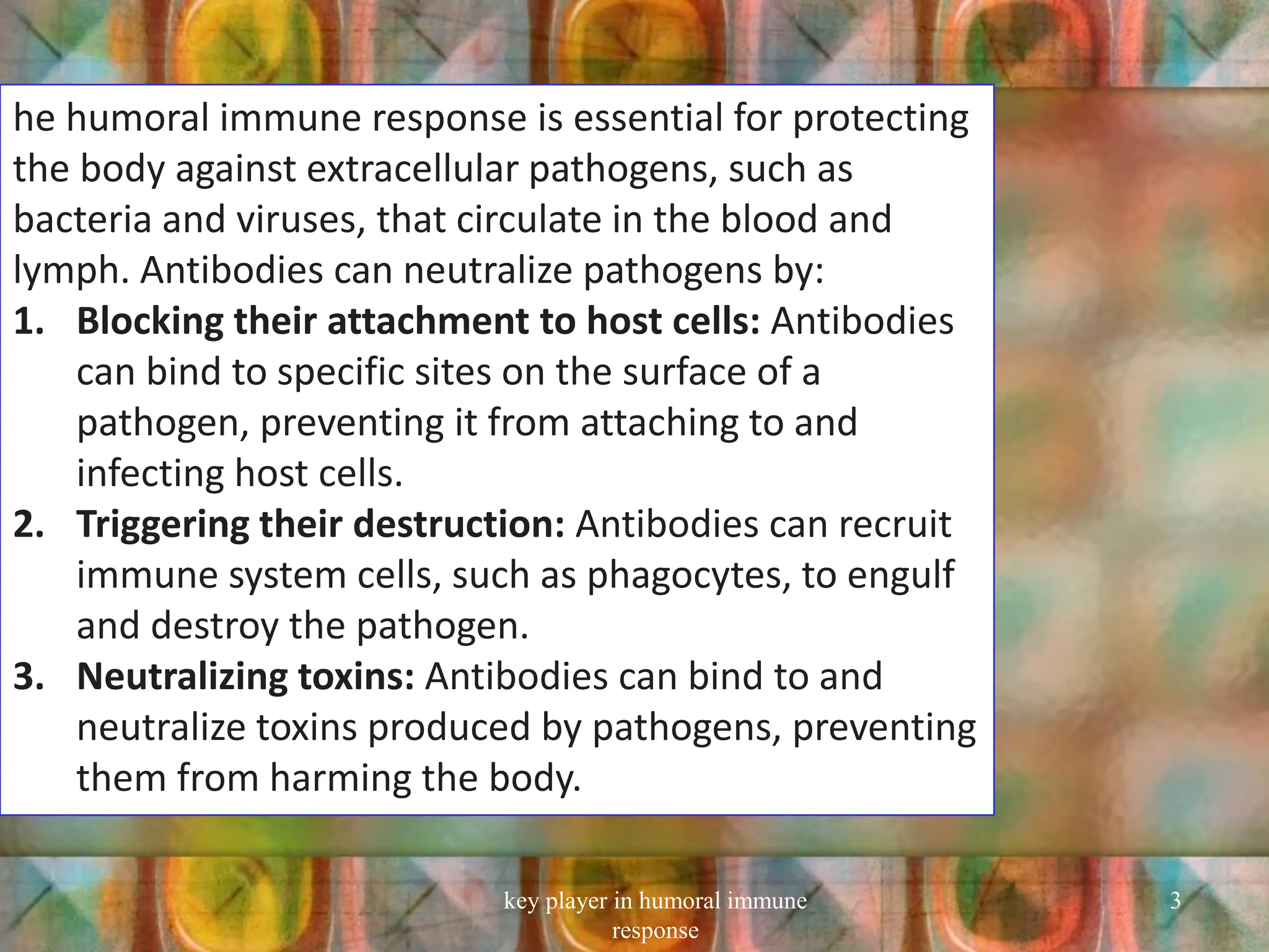 key player in immune response. pdf | PPT