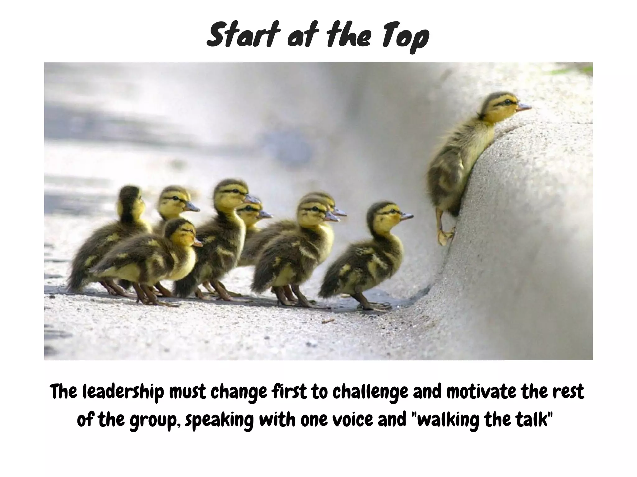 Change Management Key Principles | PPT Change Management Key Principles | PPT