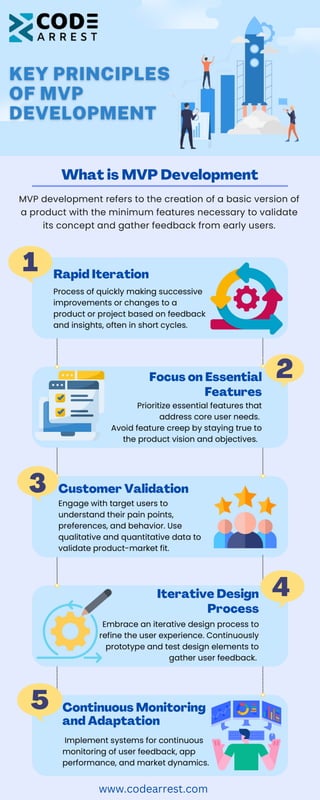 The Key Principles of MVP Development.pdf