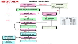 Key principles of newborn care at birth | PPTX