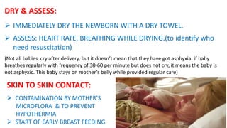 Key principles of newborn care at birth | PPTX | Pregnancy ...