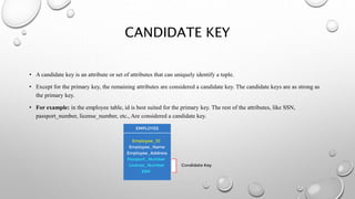 DBMS key topic Presentation slide 1.pptx