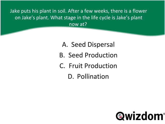 Key stage 2 Science quiz | PPT